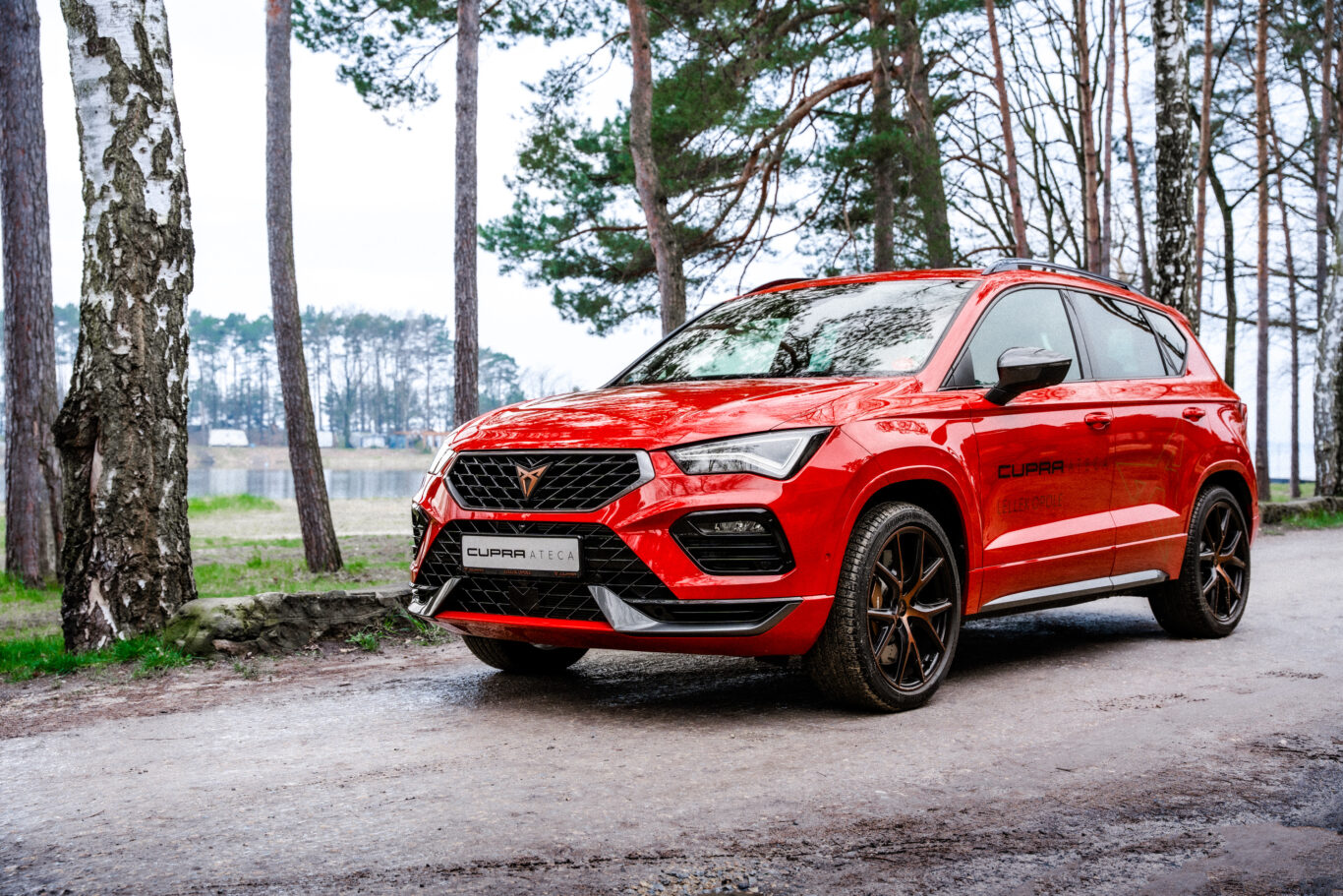 LELLEK - CUPRA Master